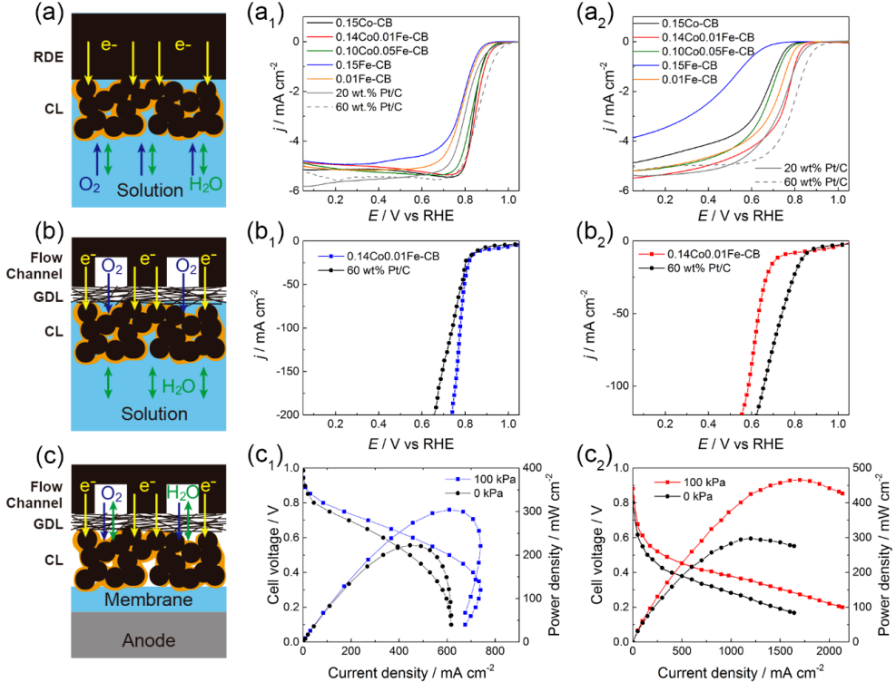 天津大学：多尺度解析Co/Fe-N-C催化层的氧还原性能