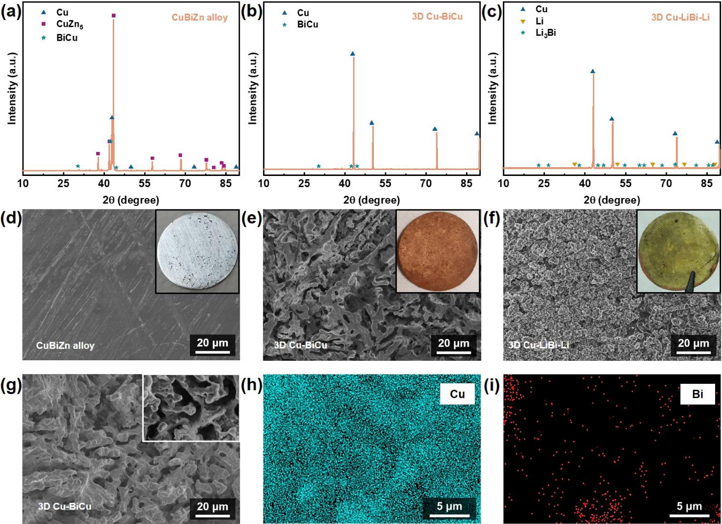 Cu-In/Bi 合金中亲锂位点诱导均匀锂成核实现高倍率锂金属电池