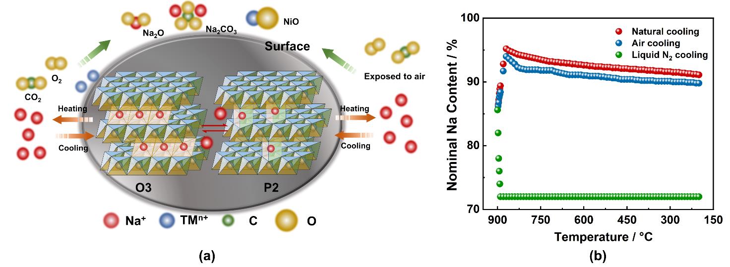 O3/P2-Na x Ni 1/3 Co 1/3 Mn 1/3 O 2 复合相正极材料的结构演变与储钠性能