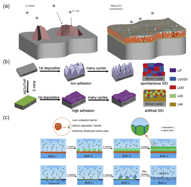 抑制锂金属负极枝晶的电解液调控策略