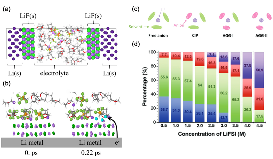 抑制锂金属负极枝晶的电解液调控策略