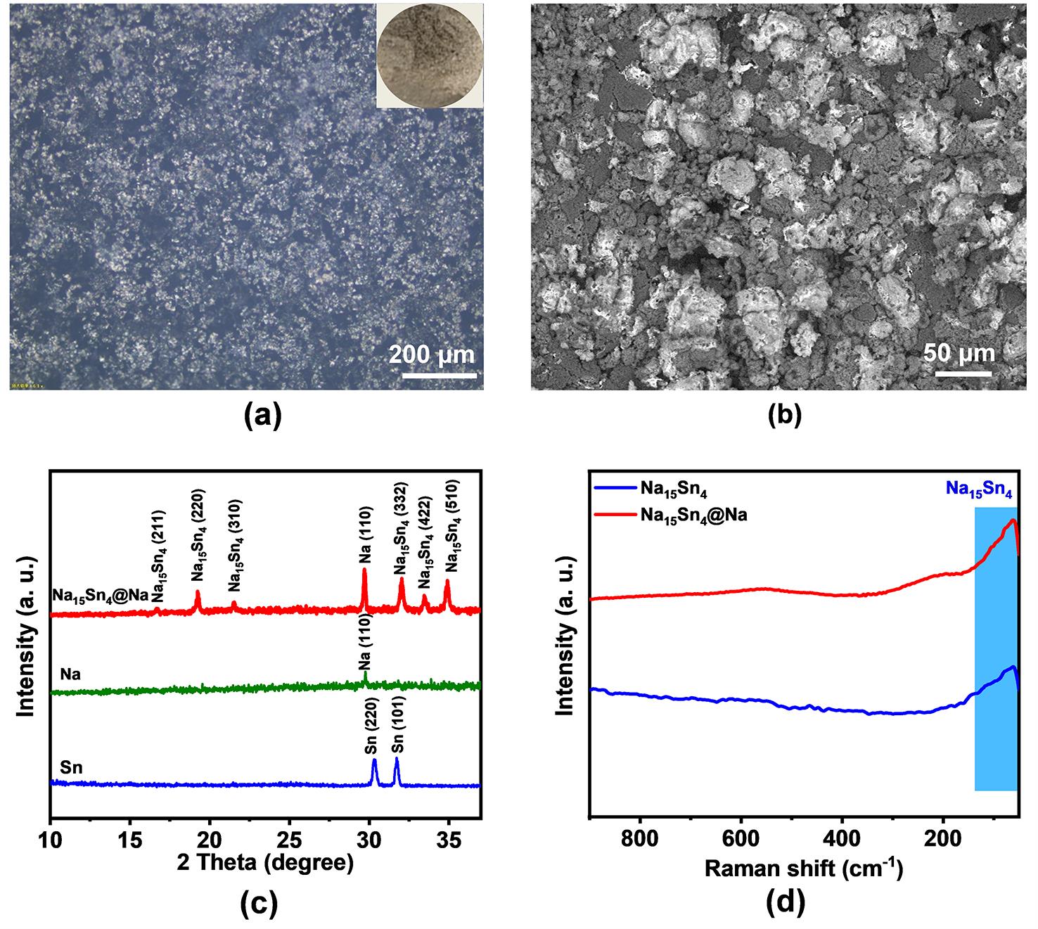 Revisiting the Na metal half-cell at low-temperature