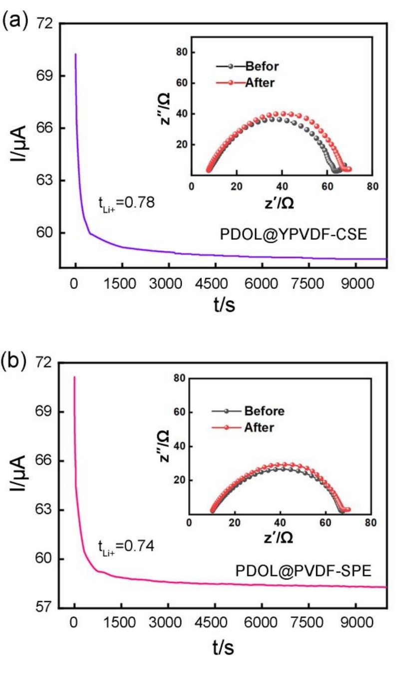 原位聚合制备 PDOL 基固态电解质及其在锂金属电池中的应用
