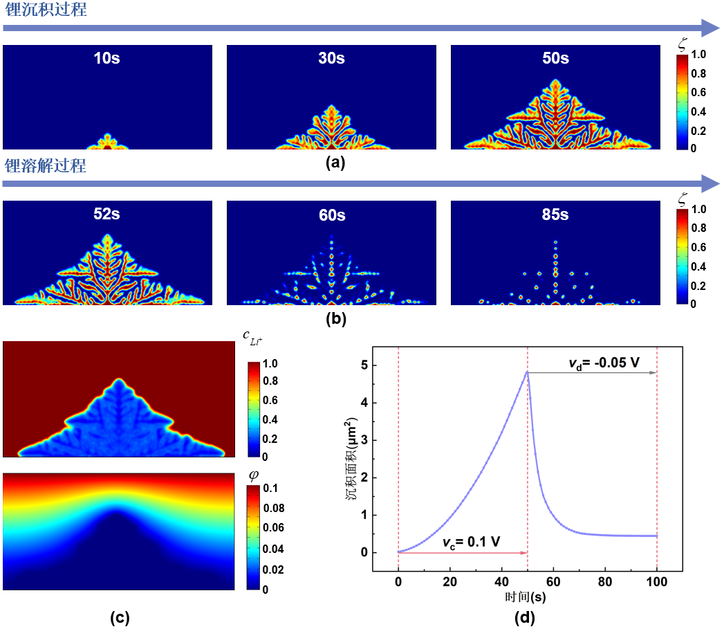 锂金属电池充放电过程中锂枝晶生长与溶解的相场模拟研究