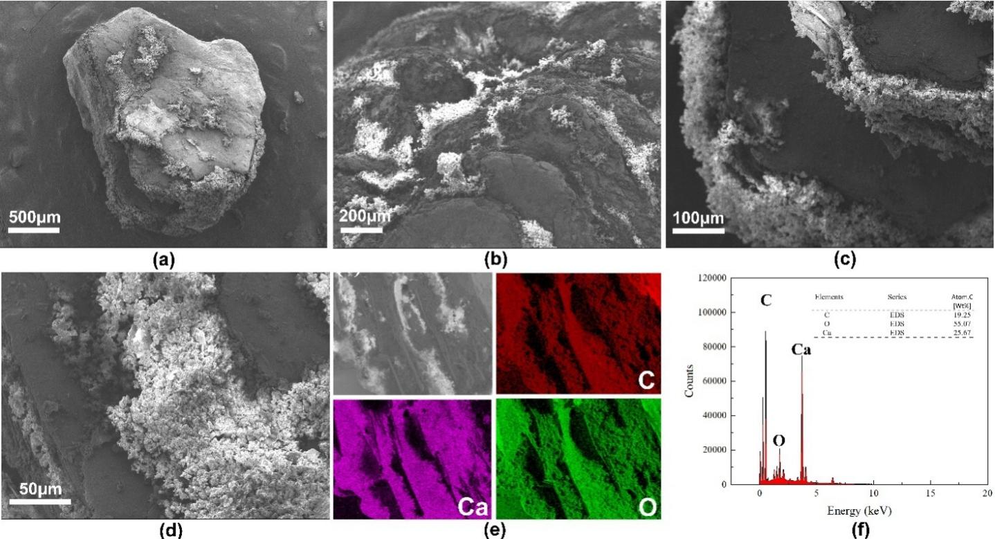 草酸钙基多孔复合热化学储热材料制备及储热性能研究